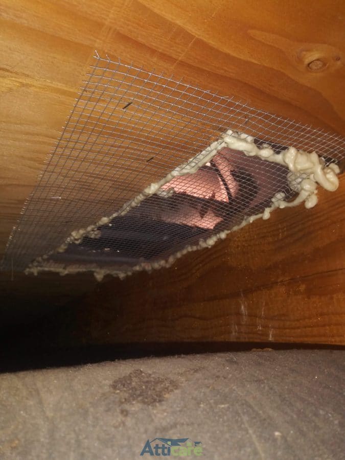 Attic Insulation Replacement & Rodent Proofing- La Cañada Flintridge