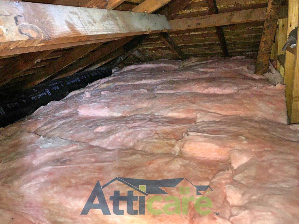 Attic Rodent Proofing & Insulation Installation - San Lorenzo, CA