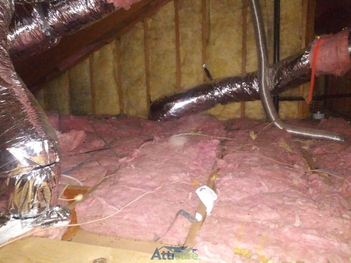 Westlake Village, Attic Rodent Proofing & Insulation Replacement