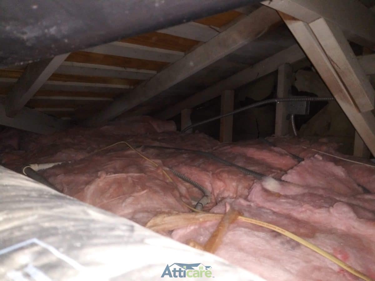 Attic Insulation & Rodent Proofing- Studio City Project Photos