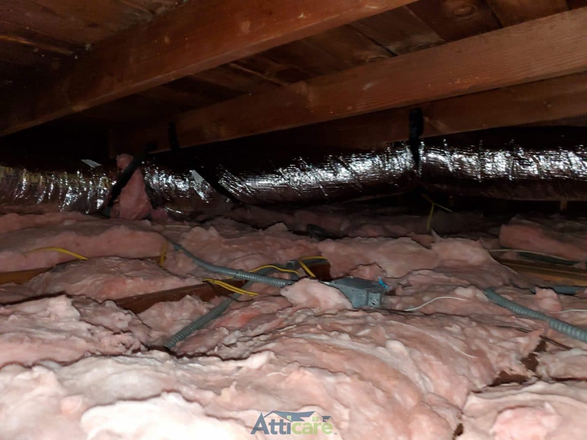 Torrance, CA Attic Rodent Proofing & Insulation Replacement