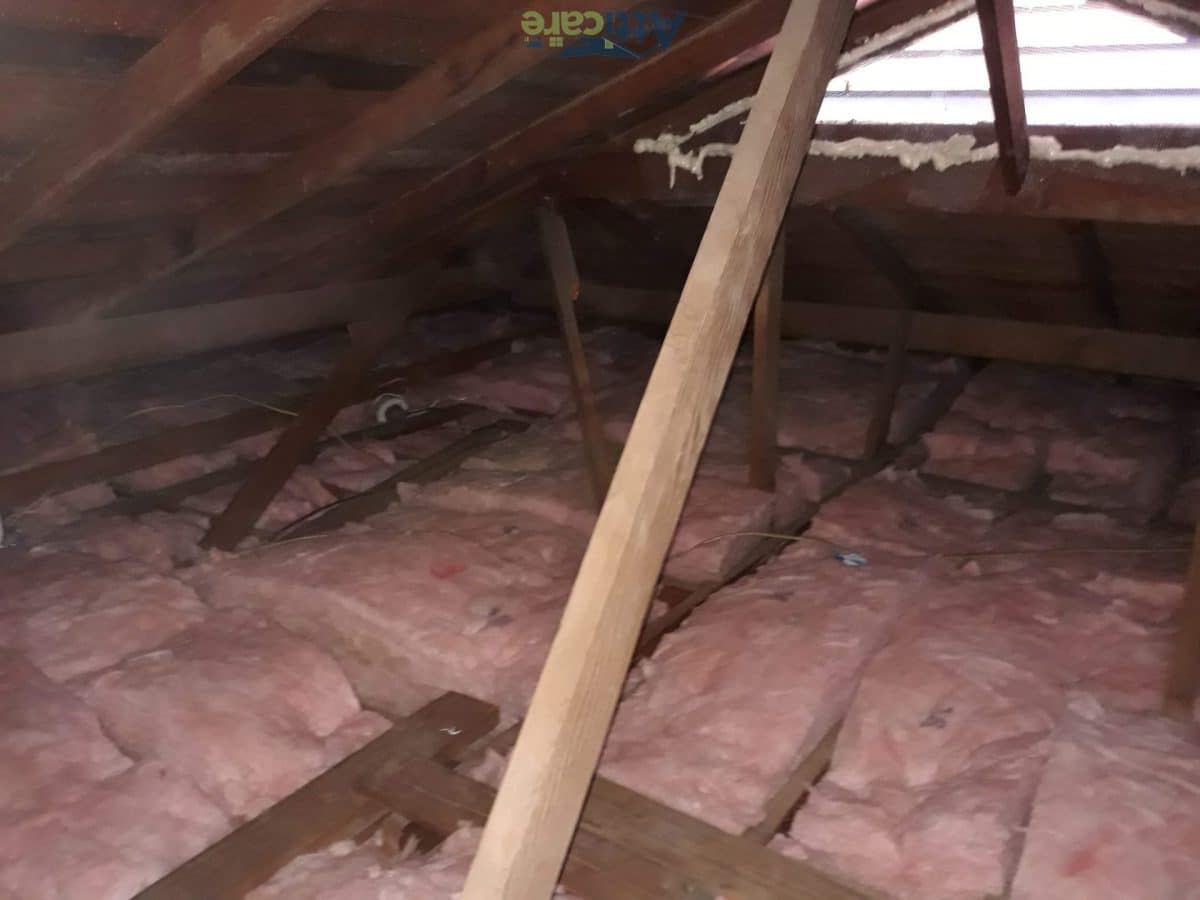 Long Beach, CA Attic Rodent Proofing & Insulation Installation