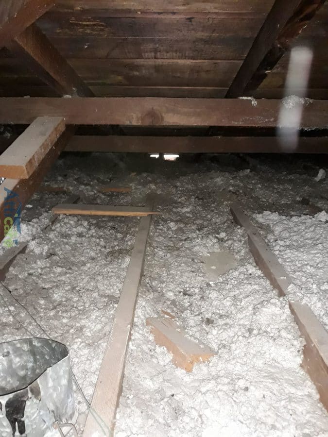 Gallery: Insulation Replacement & Rodent Proofing - Van Nuys