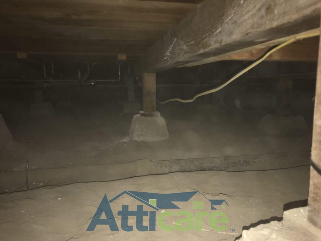 Gallery: Crawl Space Clean Up & Rodent Proofing- Los Angeles, CA
