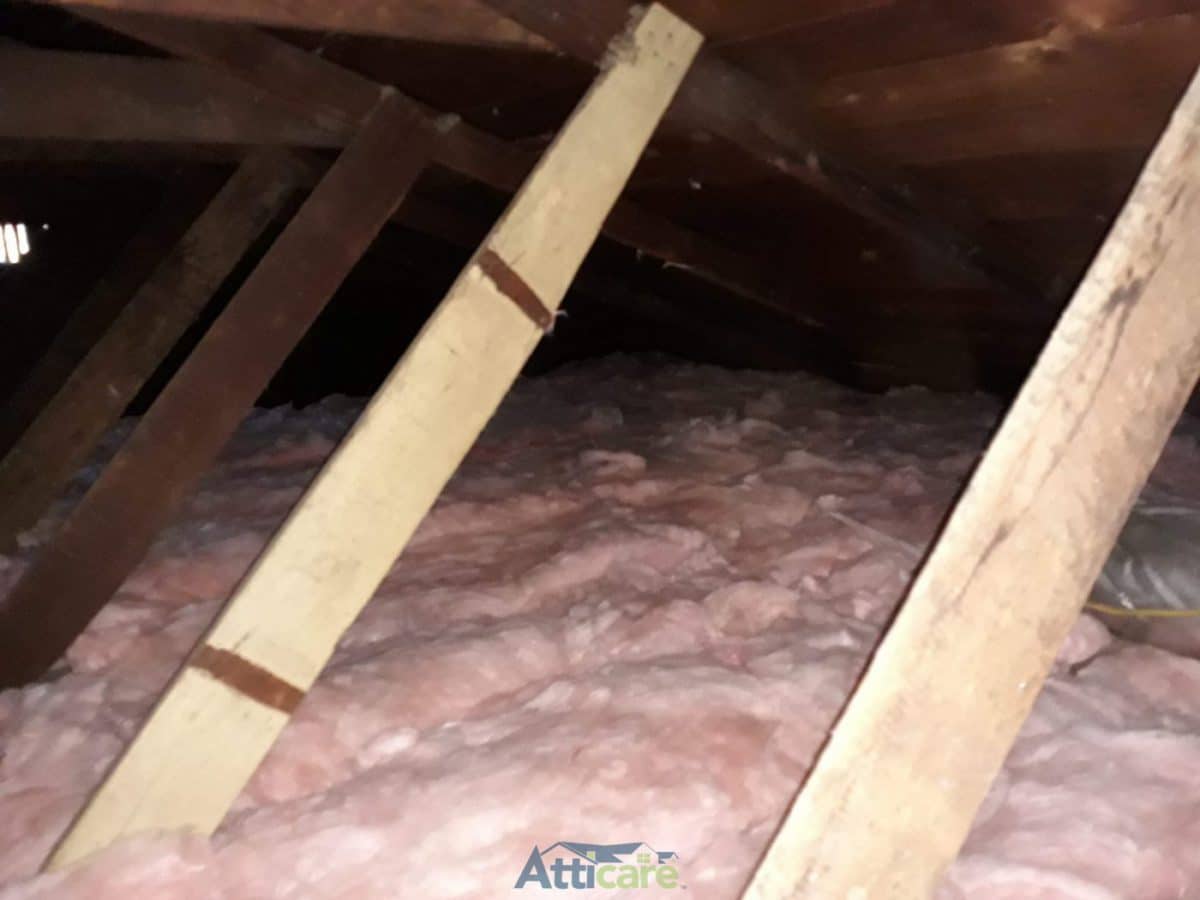 Attic Insulation Replacement in Pasadena, CA by Atticare