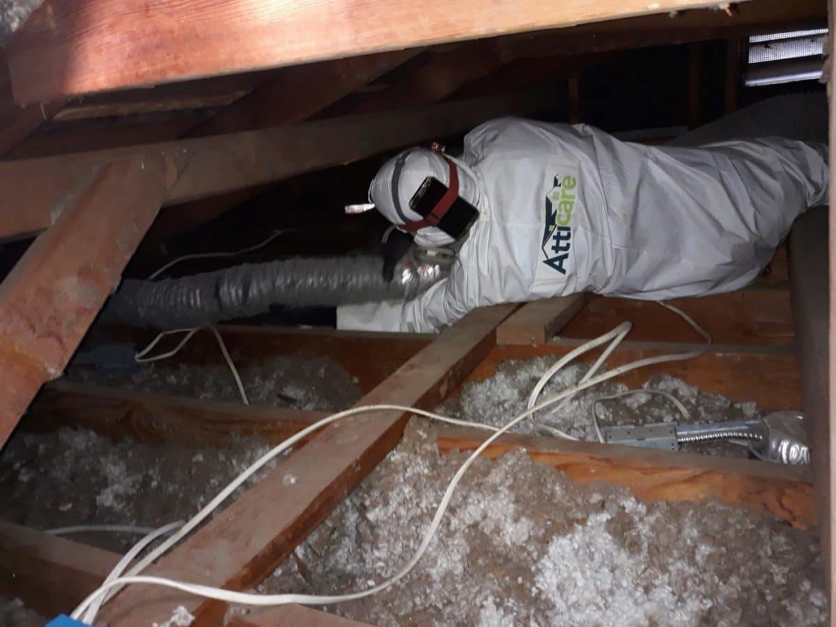 Attic Clean Up & Insulation Installation in Garden Grove Atticare