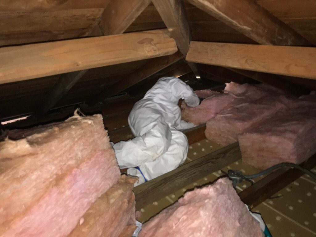Attic Insulation Installation in Sunland, CA Project Photos