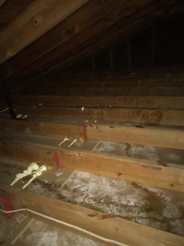 Gallery: Attic Insulation & Rodent Proofing- Millstone Township