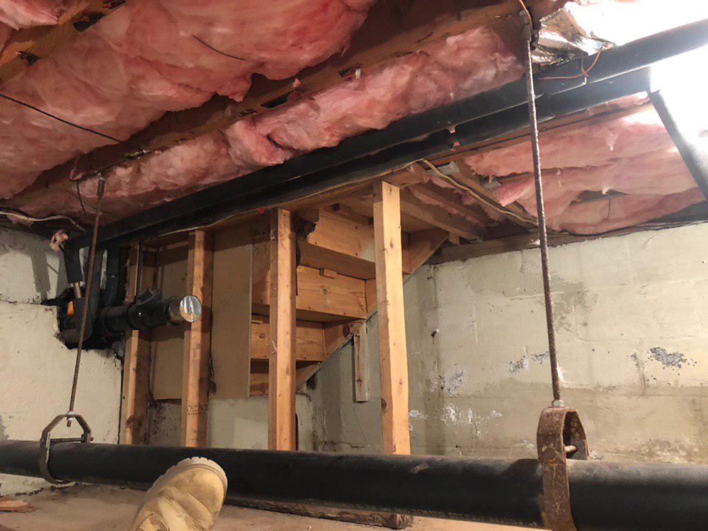 Edison NJ Attic and Crawlspace Rodent Proofing | Atticare