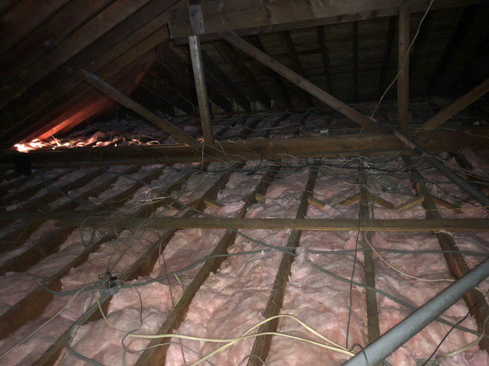Edison NJ Attic and Crawlspace Rodent Proofing | Atticare