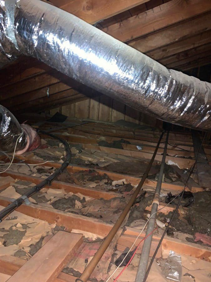 Attic Insulation Installation in Porter Ranch, CA Project Photos