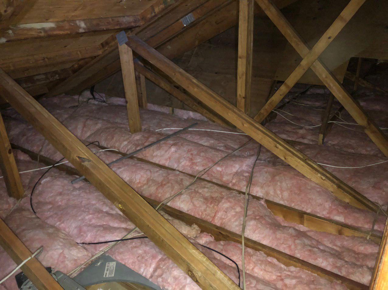 Attic Insulation Replacement & Rodent Proofing in North Brunswick
